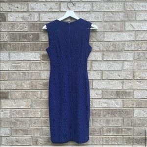Gianni Bini | Dresses | Royal Blue Gianni Bini Lace Shift Dress | Poshmark